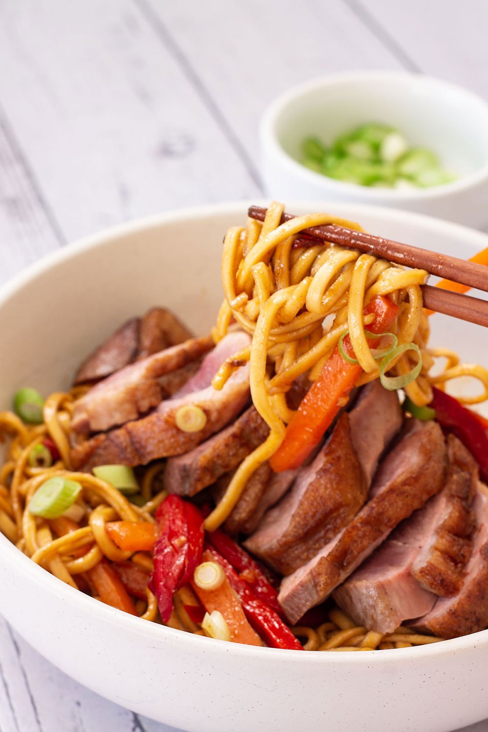 Duck Stir Fry With Noodles And Hoisin Sauce Duck Chow Mein Knife