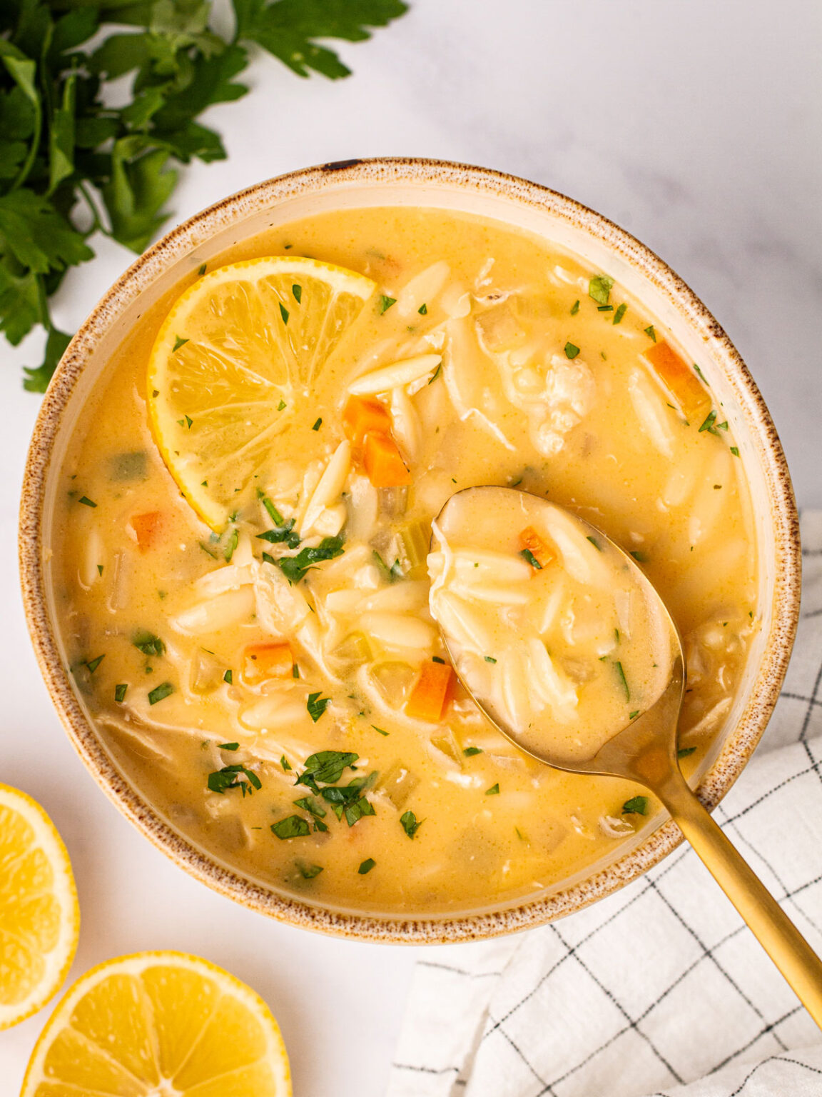 Rosa Marina Soup (Italian Orzo Soup with Chicken and Tomato) - Knife ...